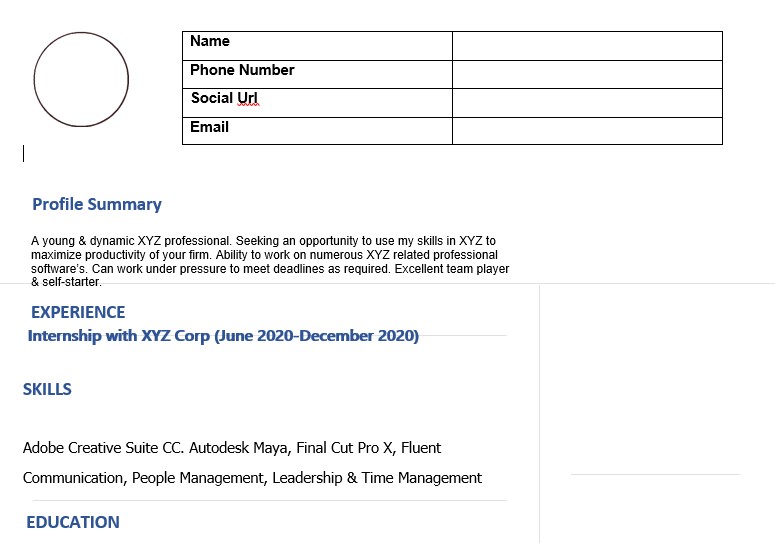 Best CV Format For Freshers With Resume Template For Freshers 