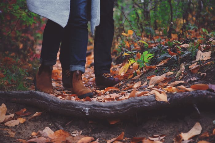 Garden Leaves Meaning And FAQs Garden Leaves Meaning And FAQs