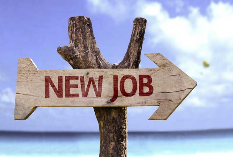 Top 10 Do’s and Don’ts For Your First Job - Fresher Guide