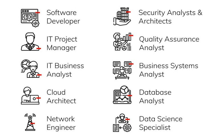 Career Opportunities in IT Sector: Guide to IT Field Jobs