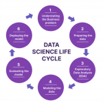 Data Science Internships for Freshers - Complete Roadmap for 2025