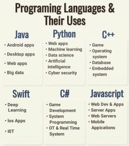 Top 5 Programming Languages to Learn in 2025 For Beginners