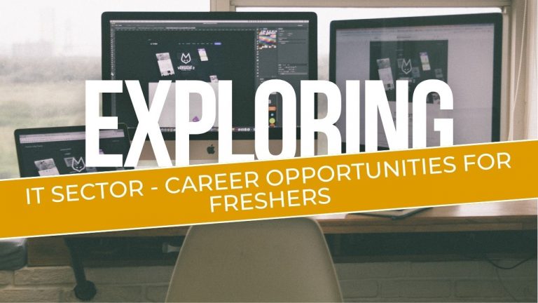 Career Opportunities in IT Sector: Guide to IT Field Jobs