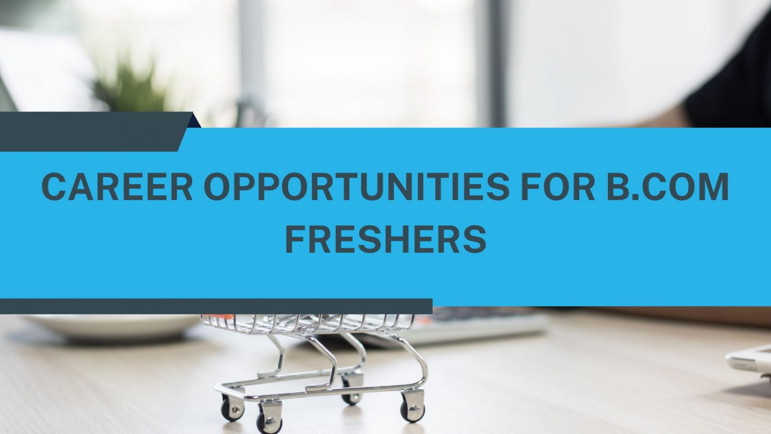 Career Opportunities for B.Com Freshers in India: Best Job Paths