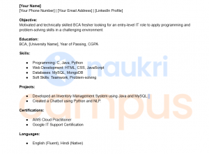 How to Write a BCA Fresher Resume: Skills, Format, Example
