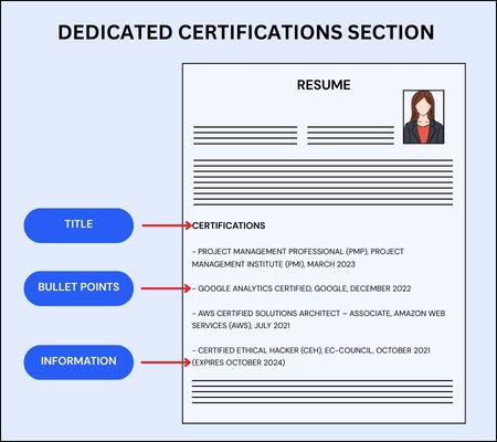 Resume Writing Services - CV - Bio data - Naukri.com